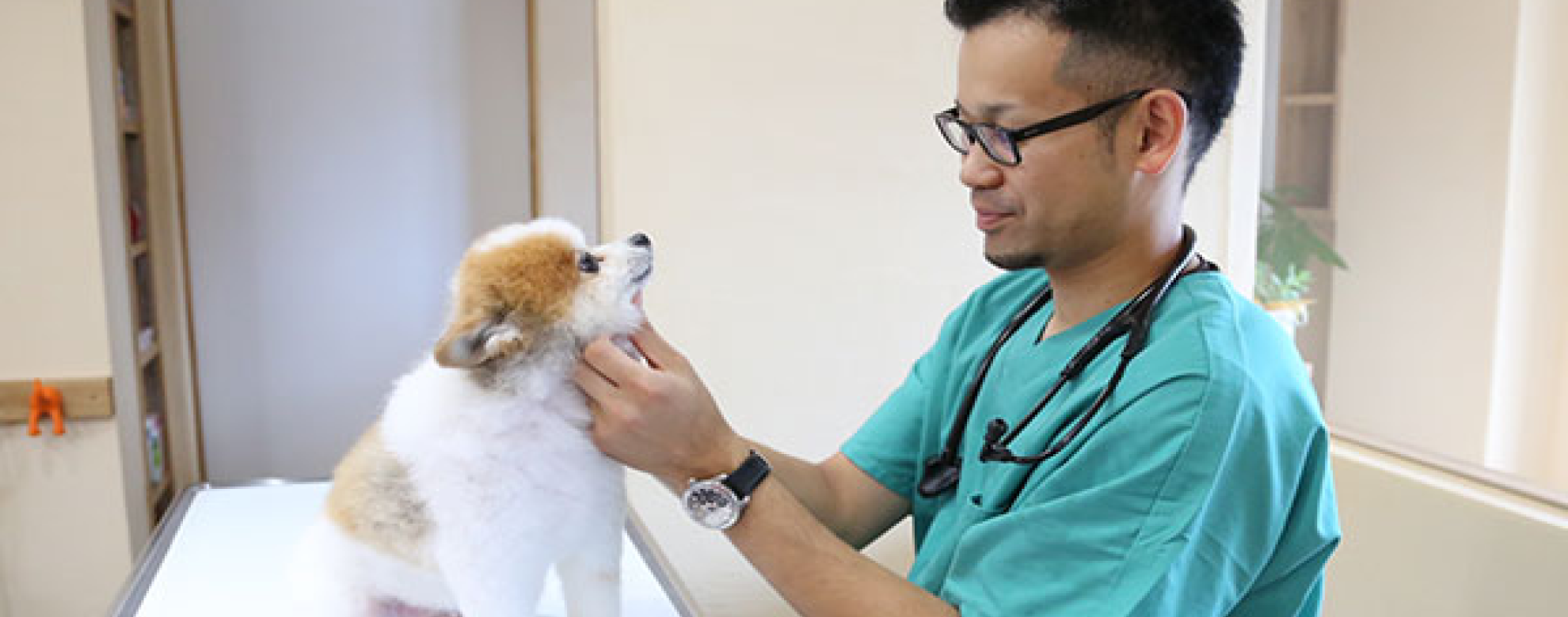 当院のこだわり | アリイ動物病院